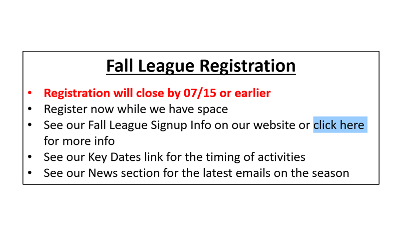 Home [www.brentwoodballclub.com]